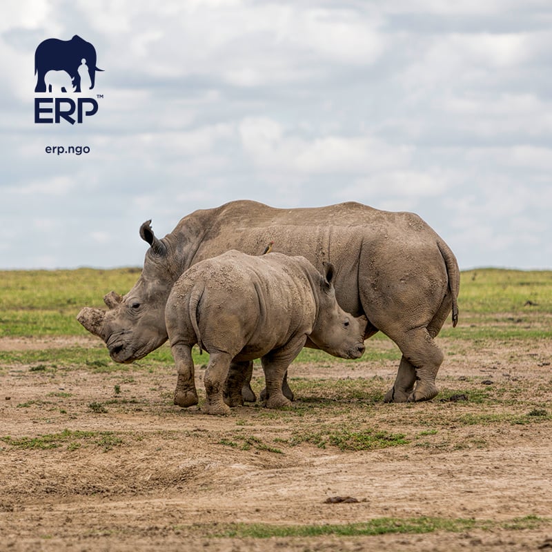 Company Overview | EPI-USE