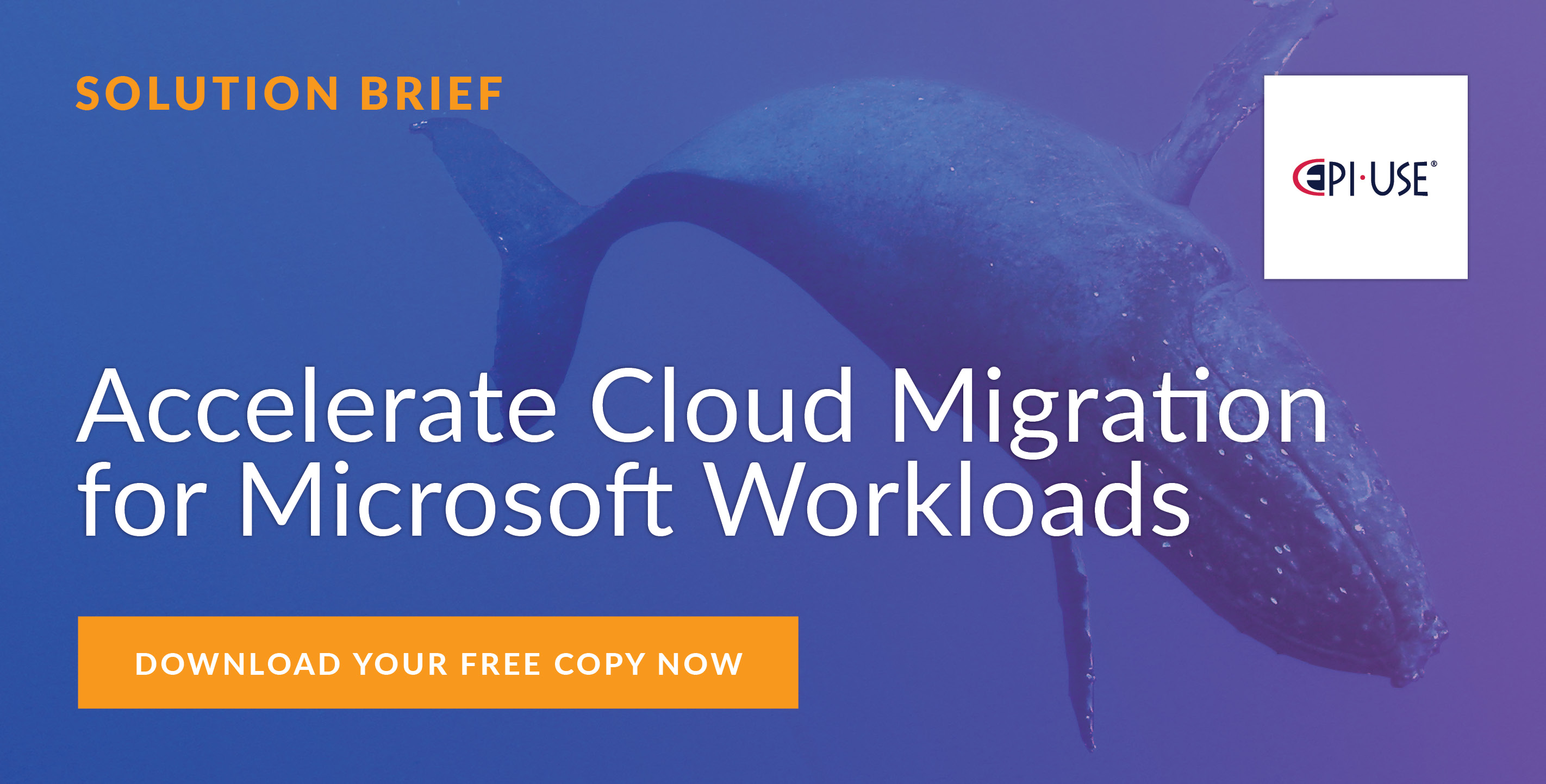 Solution Brief: Accelerate Cloud Migration for Microsoft Workloads