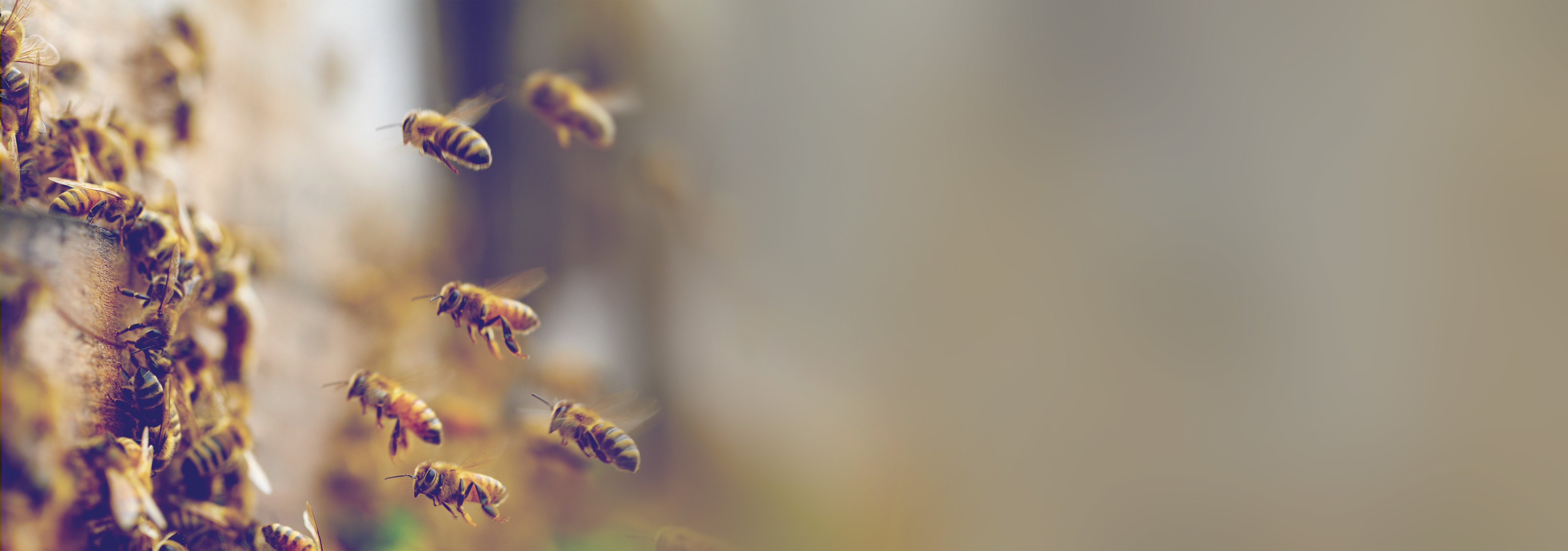 Company Overview | EPI-USE