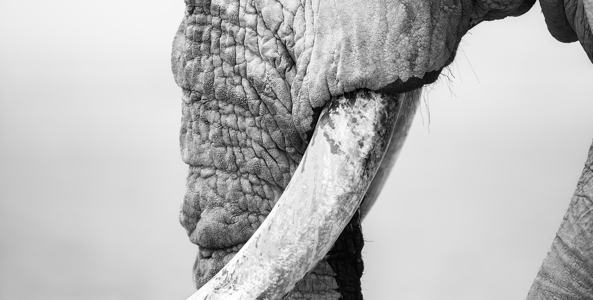 UKG Go-To-Market Experience | EPI-USE